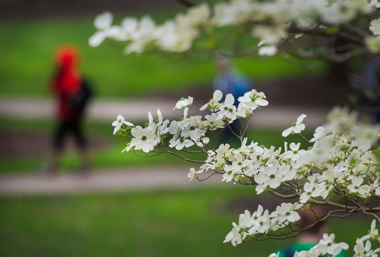 A picturesque campus: Photos capture beauty of IUP amongst fall season ...