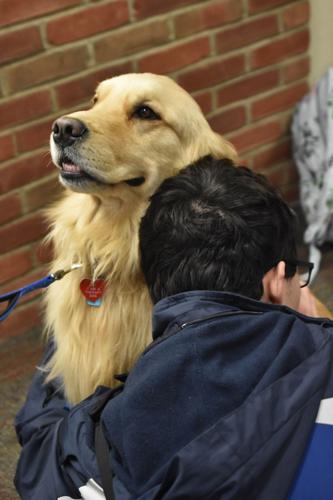'Just Paws' brings therapy dogs to students | Culture | thepenn.org