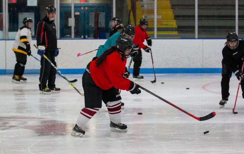 Organization Highlight: IUP Women's Ice Hockey skates into 2025 season ...