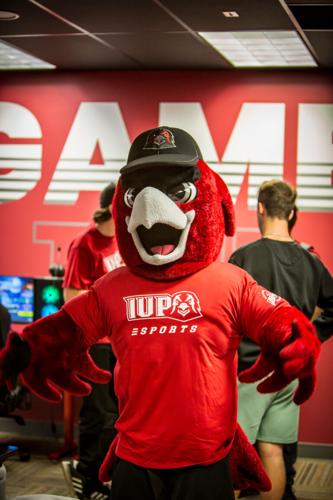 Behind-the-scenes look at IUP's Esports Arena | Photo Galleries ...