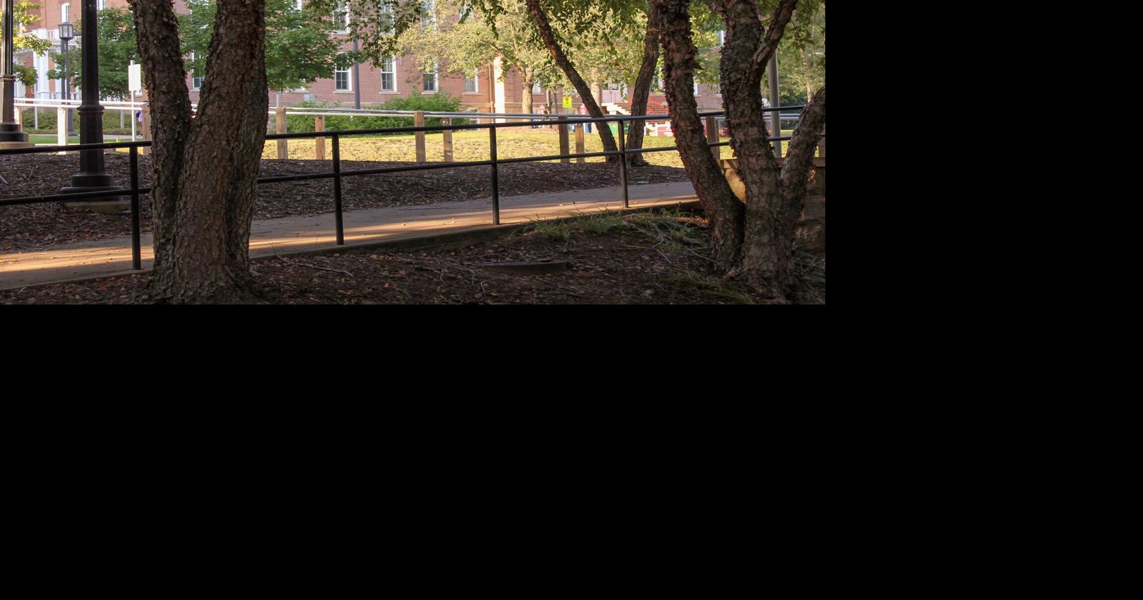 Federal grant funds new Crimson Hawks Bridge program at IUP | News ...