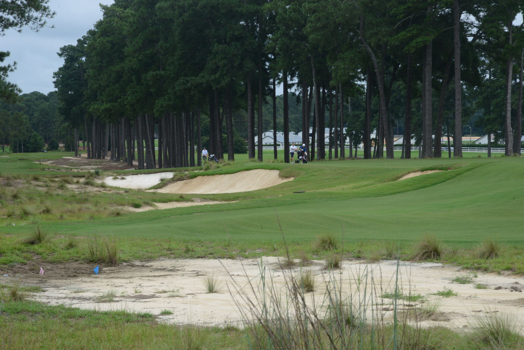 Pinehurst Reopens Course No. 4 | News | thepilot.com