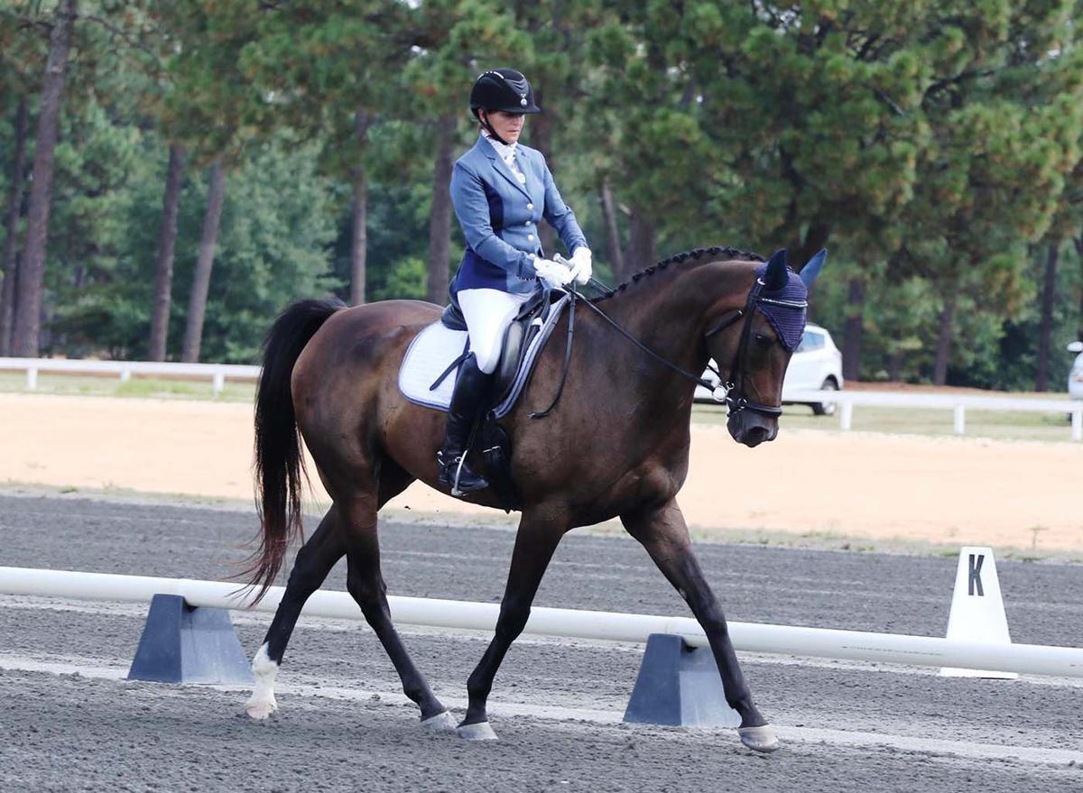 "Labor of Love" Dressage | Gallery | thepilot.com