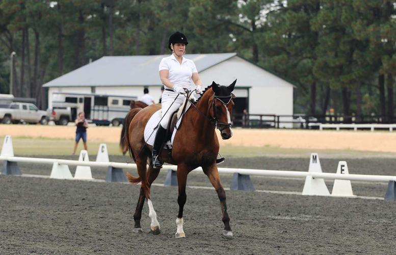 "Labor of Love" Dressage | Gallery | thepilot.com