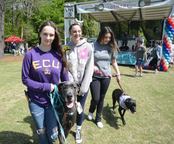 6th Annual Sandhills Dog Fair | Gallery | thepilot.com