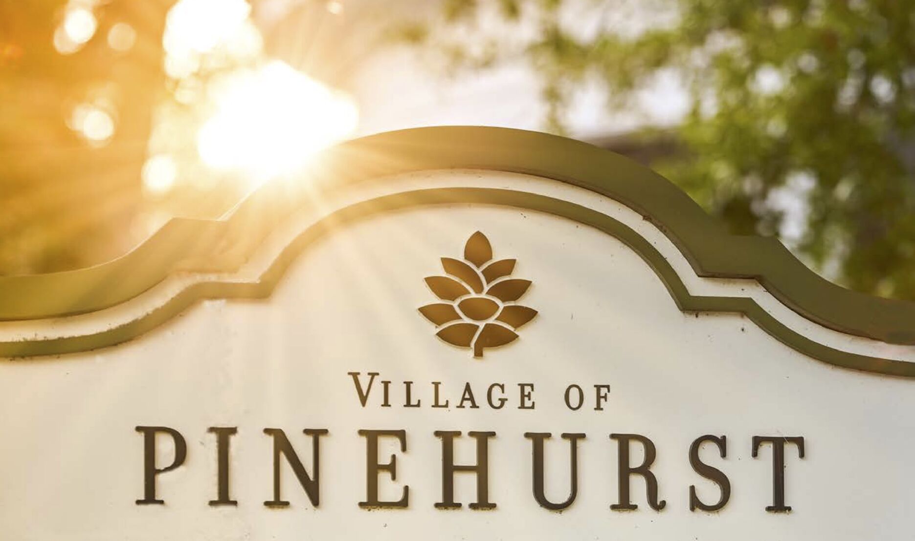 Internet Comb Yields 20 STR Violators | News | thepilot.com