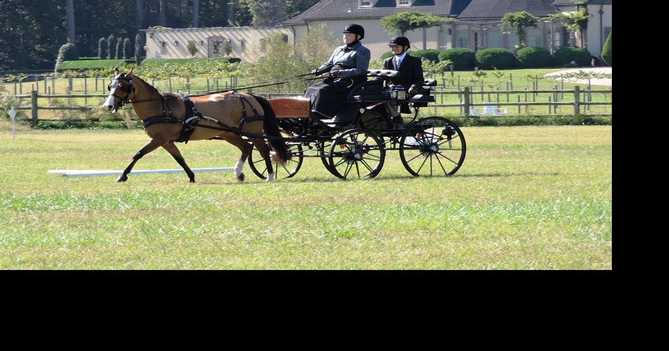 Combined Driving Event, Big Sky Farm | Multimedia | thepilot.com