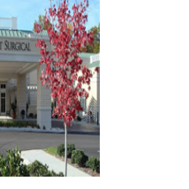 Pinehurst Surgical Clinic and FirstHealth of the Carolinas Set to ...