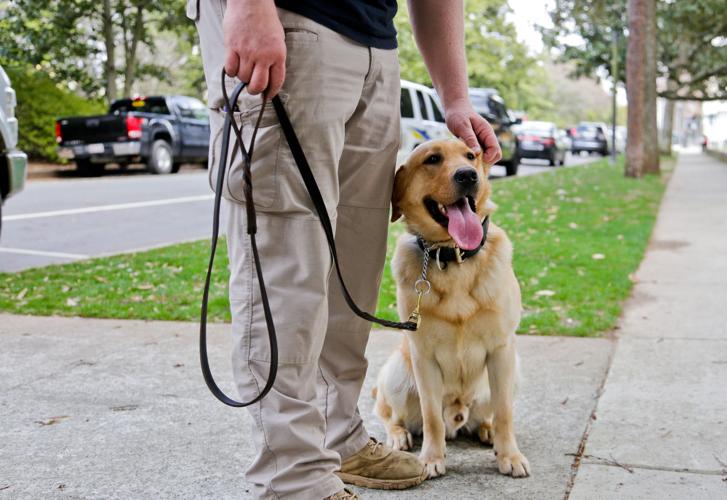 K2 Solutions Training Day | Multimedia | thepilot.com