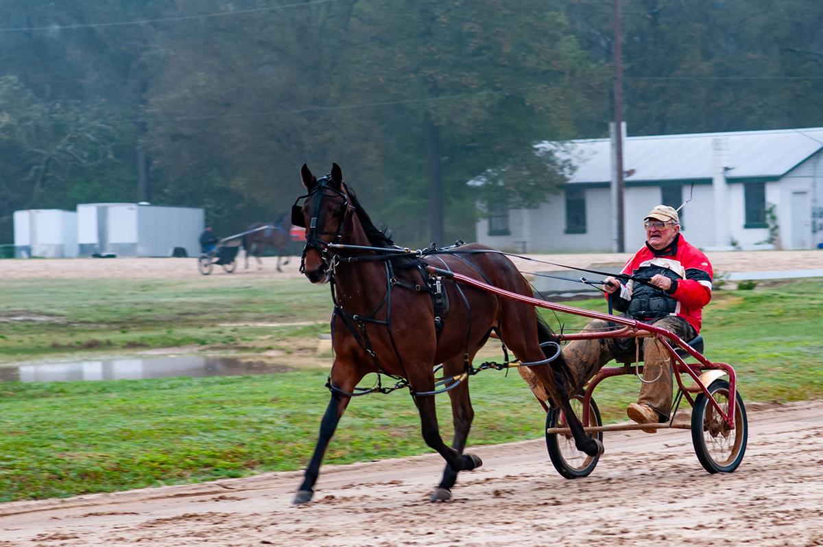 Spring Matinee Harness Races | Multimedia | thepilot.com