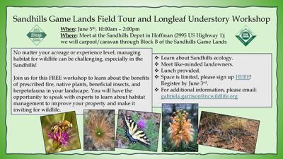 Sandhills Landowners’ Workshop Planned | Features | thepilot.com