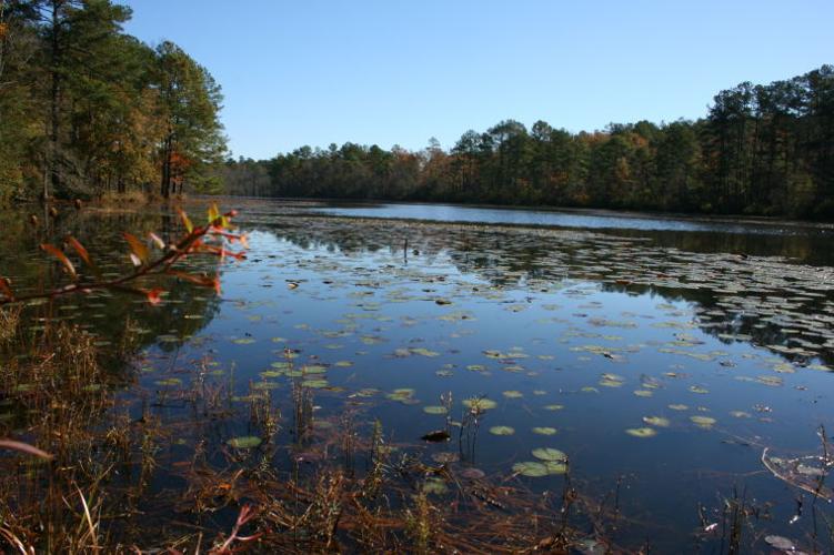 Aberdeen Board to Hear Presentations on Ray's Mill Pond Park | News ...