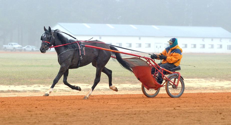 Readying for the Races: Harness Track Reigns as Pinehurst Showcase ...