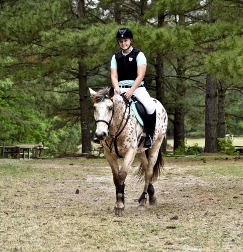 Heather Ridge Farm Horse Trials | Multimedia | thepilot.com