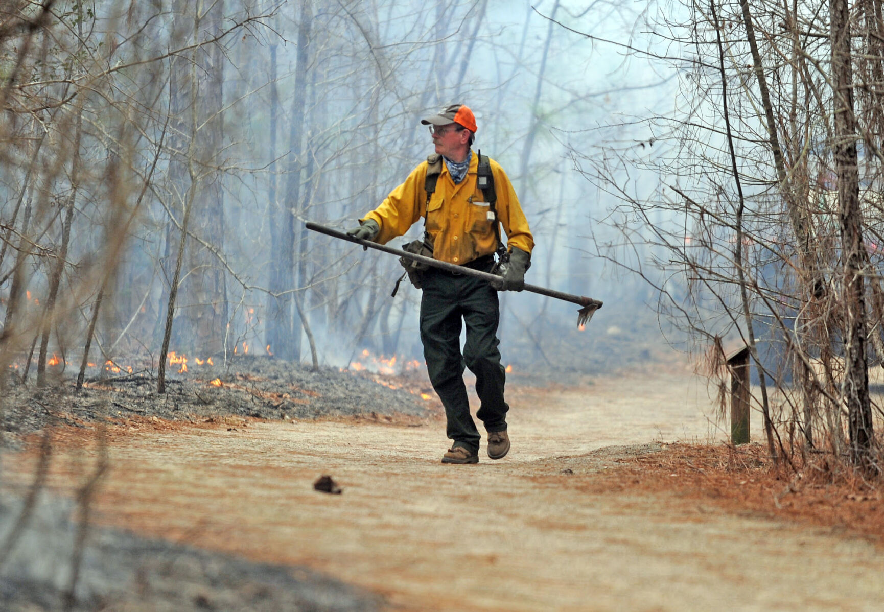 Prescribed Burn Announced at Weymouth Woods, Boyd Tract | News ...