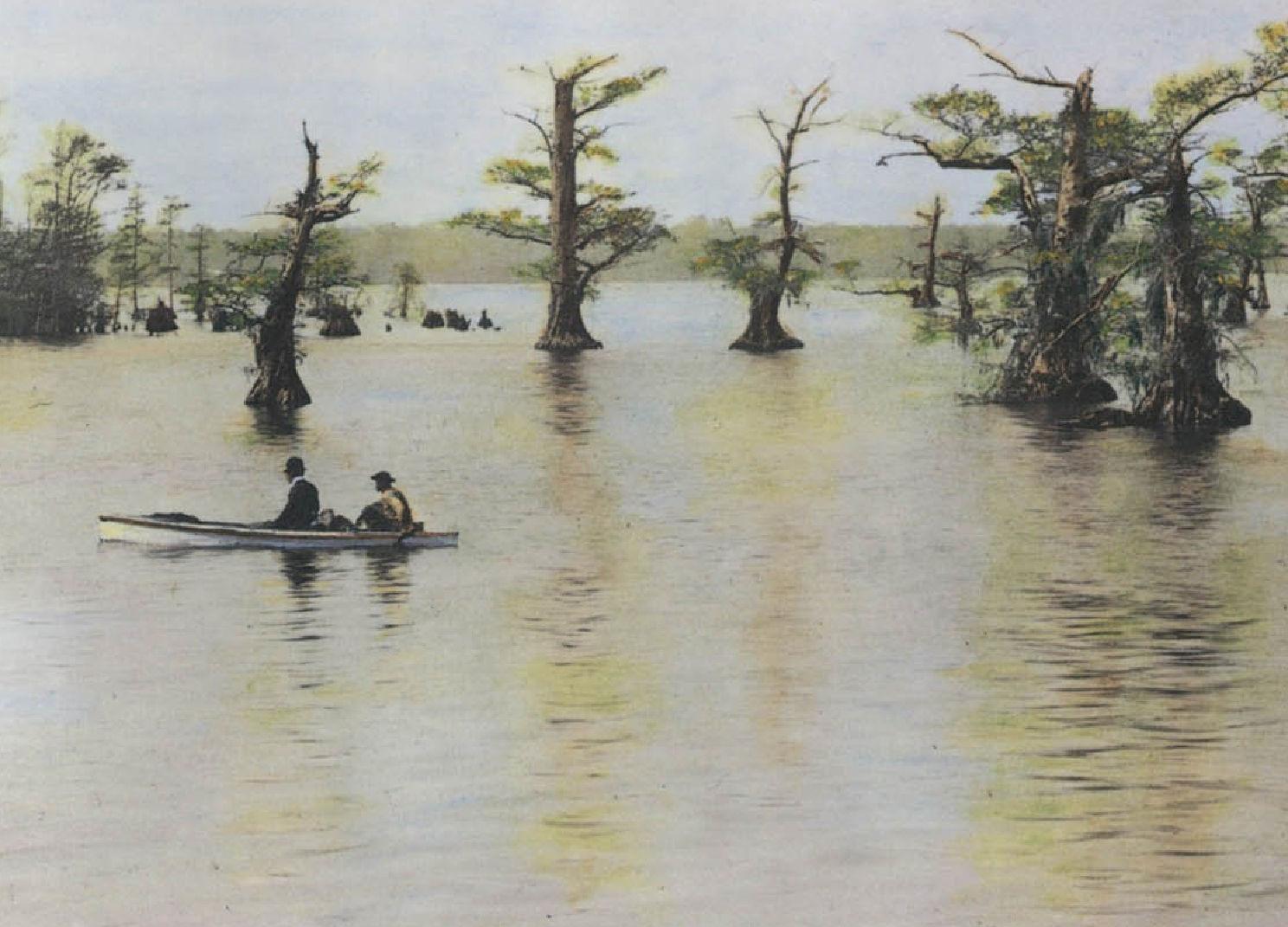 Three-Part Series on Great Dismal Swamp Kicks Off Jan. 20 | Features ...