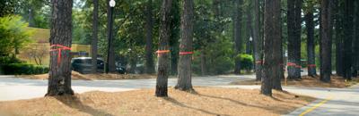 Midland Road Improvements Get Underway | News | thepilot.com