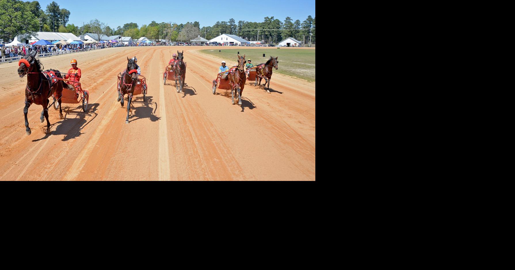Spring Matinee Races at the Pinehurst Harness Track | Gallery ...