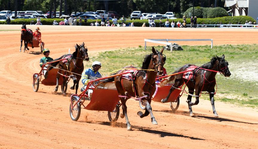 Spring Matinee Races at the Pinehurst Harness Track | Gallery | thepilot.com