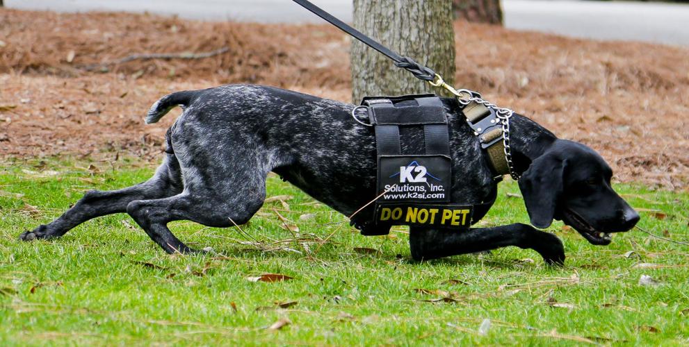 K2 Solutions Training Day | Multimedia | thepilot.com