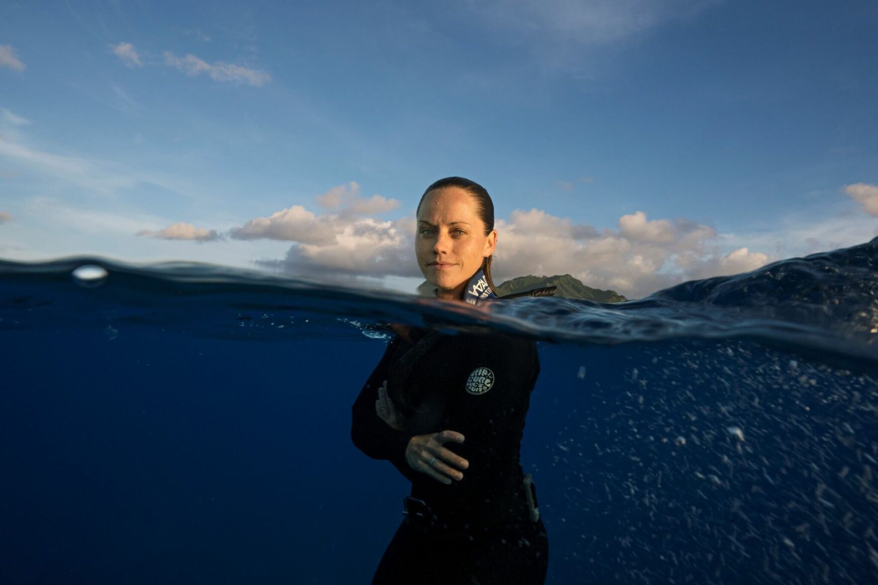 Ruth Pauley Lecture: National Geo Explorer Talks Sharks at BPAC ...