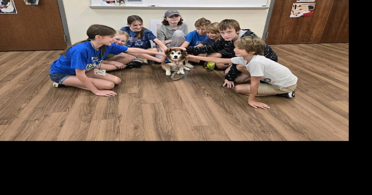 Camp Program Teaches Pet Responsibility | Features | thepilot.com