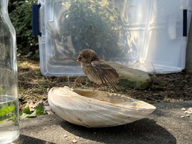 Mayor Cares for the Littlest Constituents | News | thepilot.com