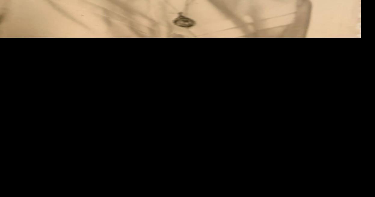 Jean M. Higgins | Obituaries | thepilot.com