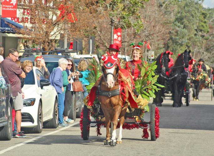 Photo Gallery: Southern Pines Carriage Parade | Gallery | thepilot.com