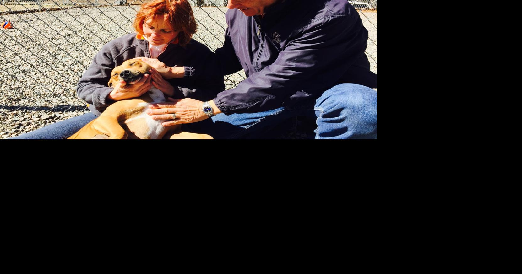 Diamonds in the Ruff III Raises Funds for Farley Foundation | Features ...