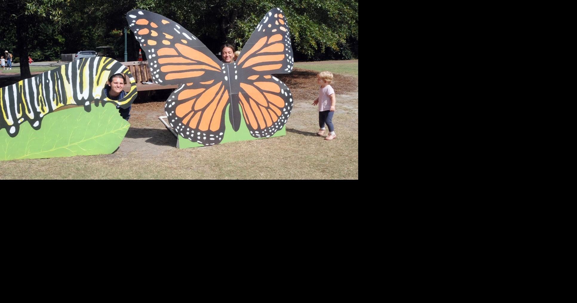 Flutterby Festival | | thepilot.com