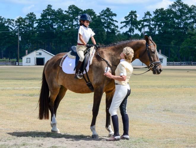 Dressage in the Sandhills is 'Cooling Down' | Multimedia | thepilot.com