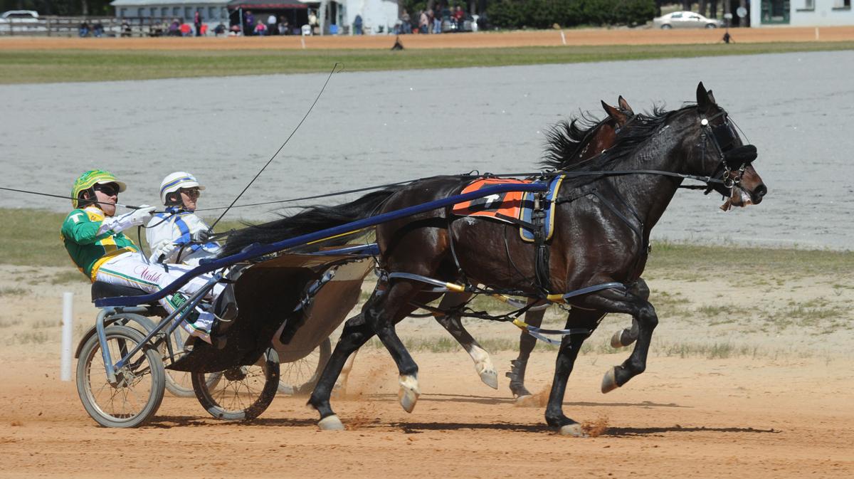 Pinehurst Harness Track Matinee Races | Gallery | thepilot.com