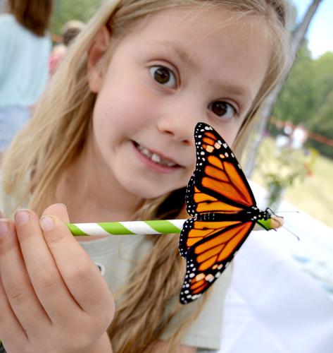 Flutterby Festival | | thepilot.com