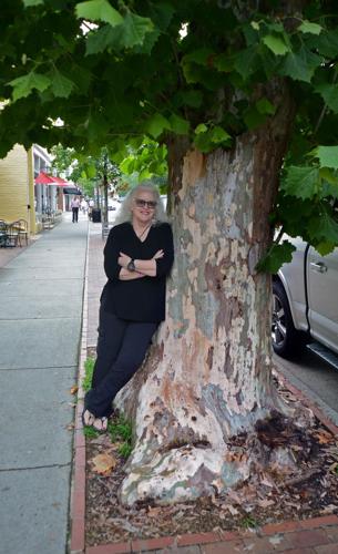 Sycamore Tree Stump Granted Clemency | News | thepilot.com