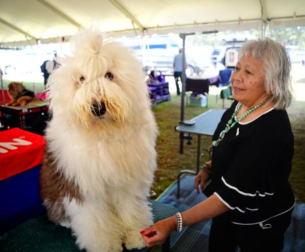 Moore County Kennel Club Annual Show | Gallery | thepilot.com