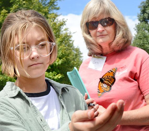 Flutterby Festival | | thepilot.com