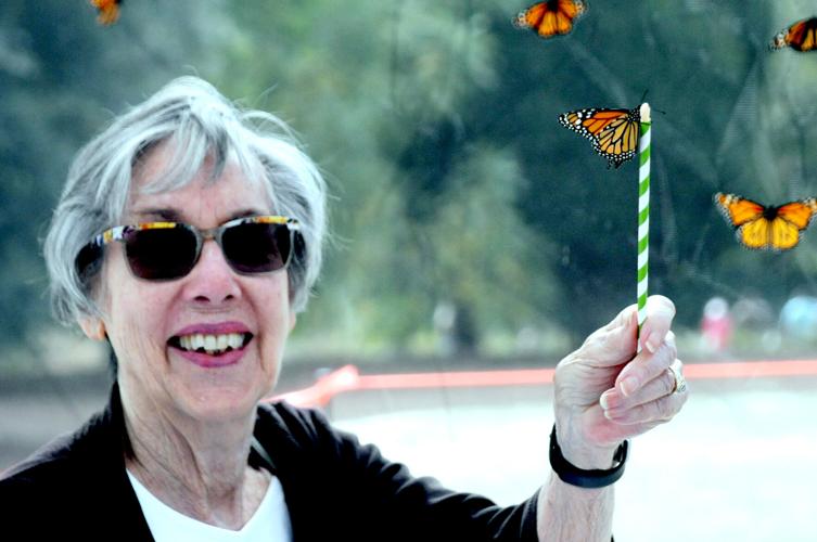 Flutterby Festival | | thepilot.com