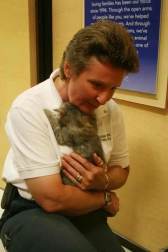 Summer Funding Slump Hurts Animal Advocates | News | thepilot.com