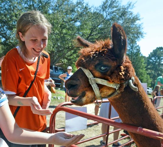 Malcolm Blue Farm Day | Gallery | thepilot.com