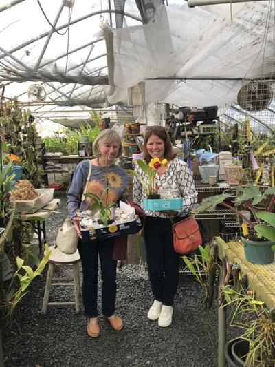 Club News: Azalea Branch | Features | thepilot.com