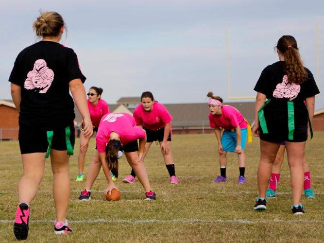 Stomp Out Cancer Powder Puff Style | Gallery | thepilot.com