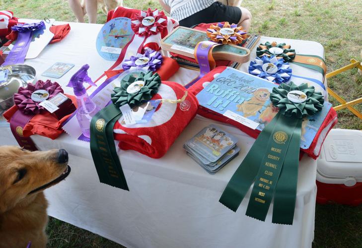 Photos: Kennel Club Show in Pinehurst | Gallery | thepilot.com