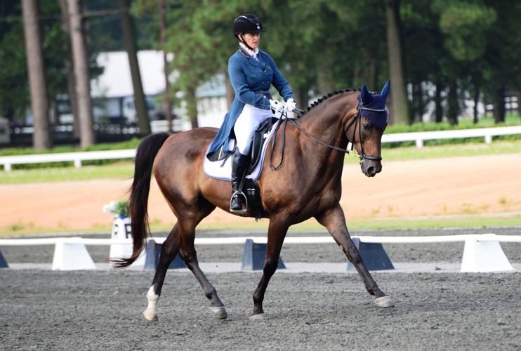 Rise and Shine Dressage | Gallery | thepilot.com
