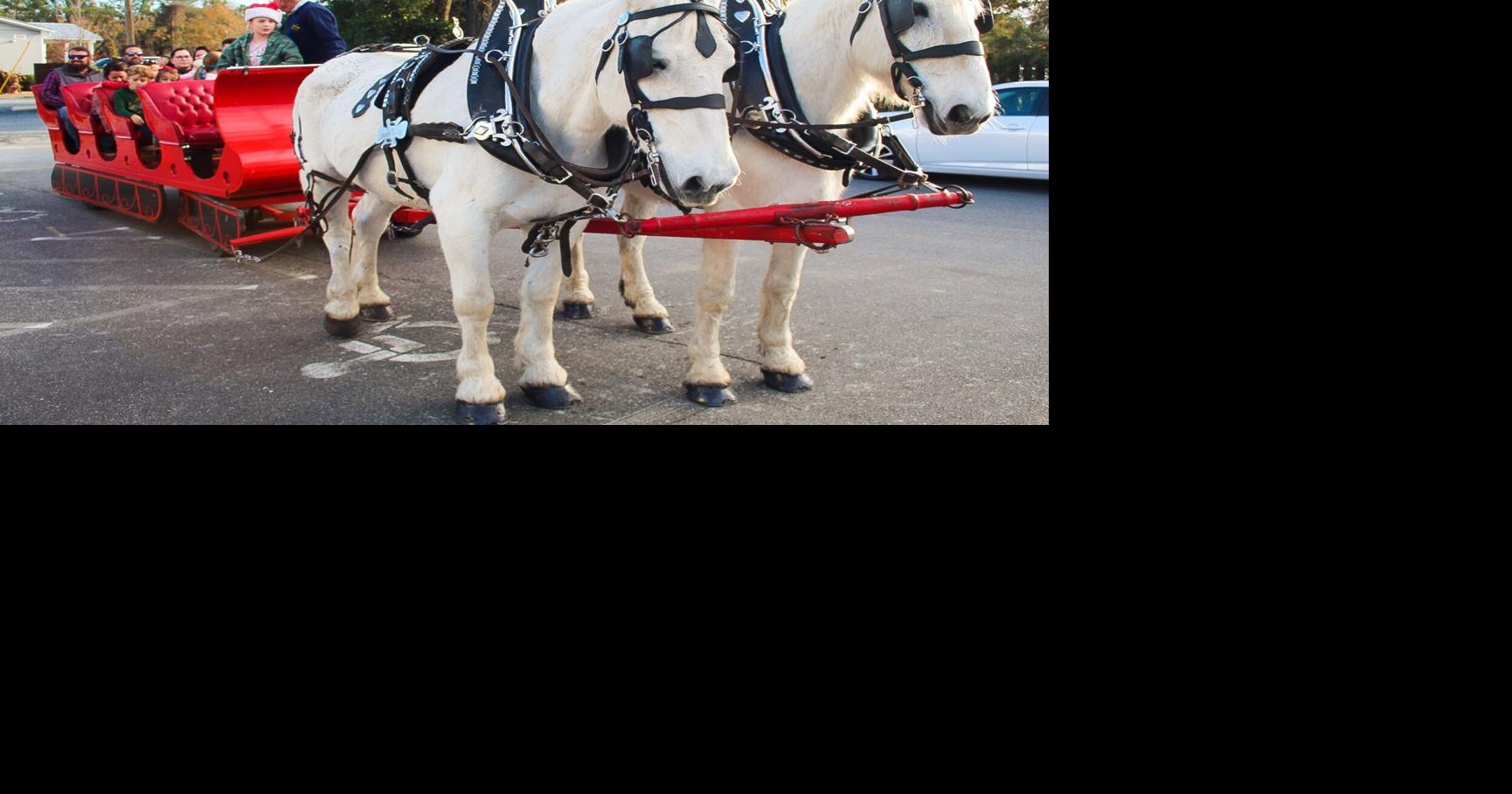 Sleigh Rides at Red's Corner | Gallery | thepilot.com