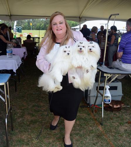 Photos: Kennel Club Show in Pinehurst | Gallery | thepilot.com