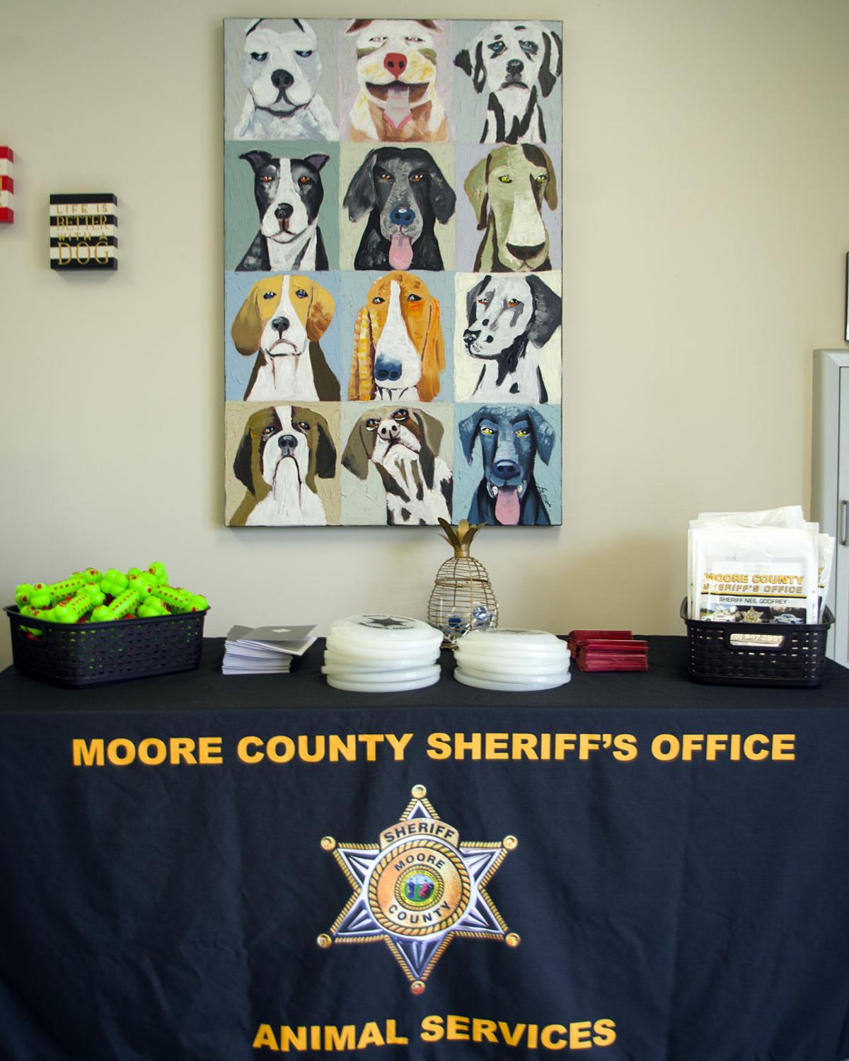 A Look Inside the Moore County Animal Services Center | Gallery ...