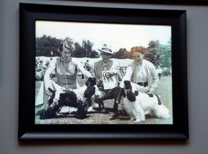 Giving Back, Longtime Handler to Judge at Prestigious Show | News ...