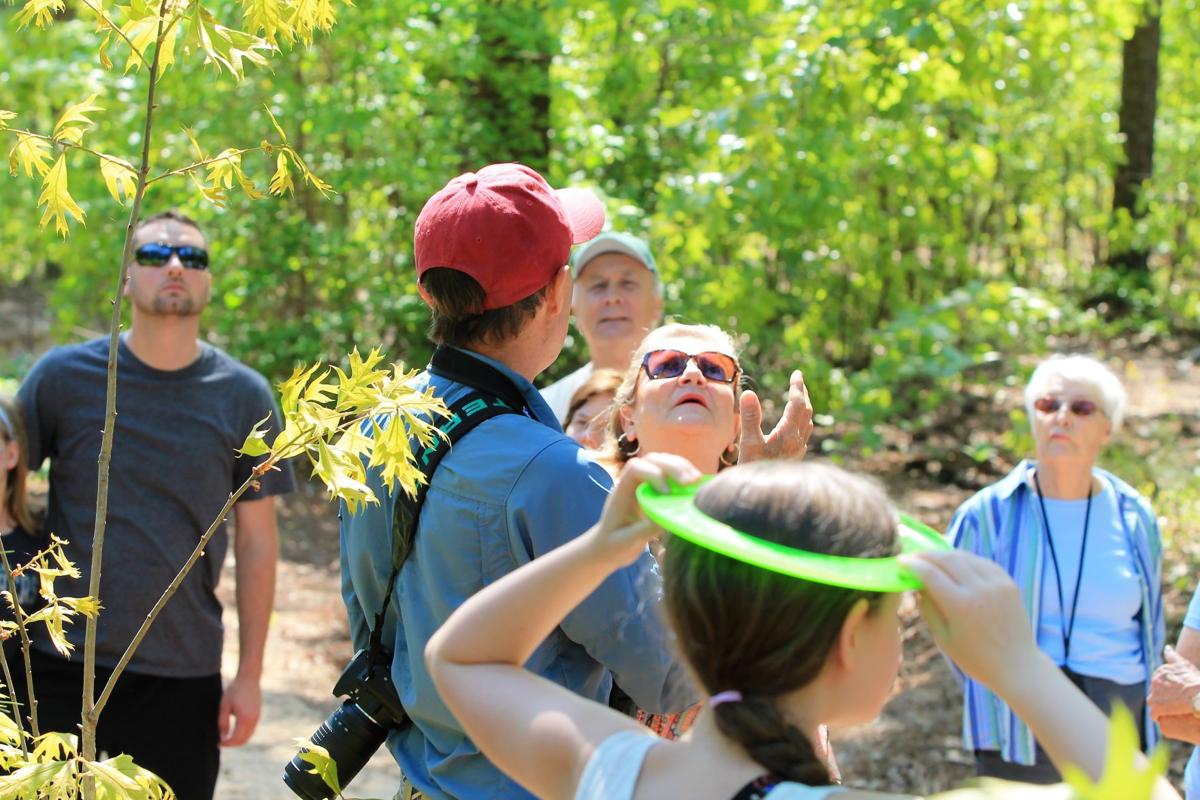 Party for the Pine | Gallery | thepilot.com