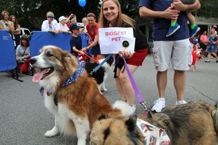 Patriotic Pet Parade | Gallery | thepilot.com